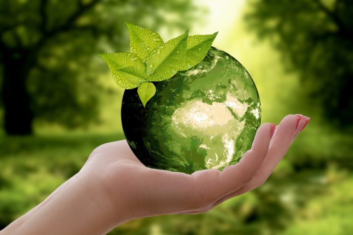 5 Simple Tips For Environmental Best Practice - Bid & Tender Support