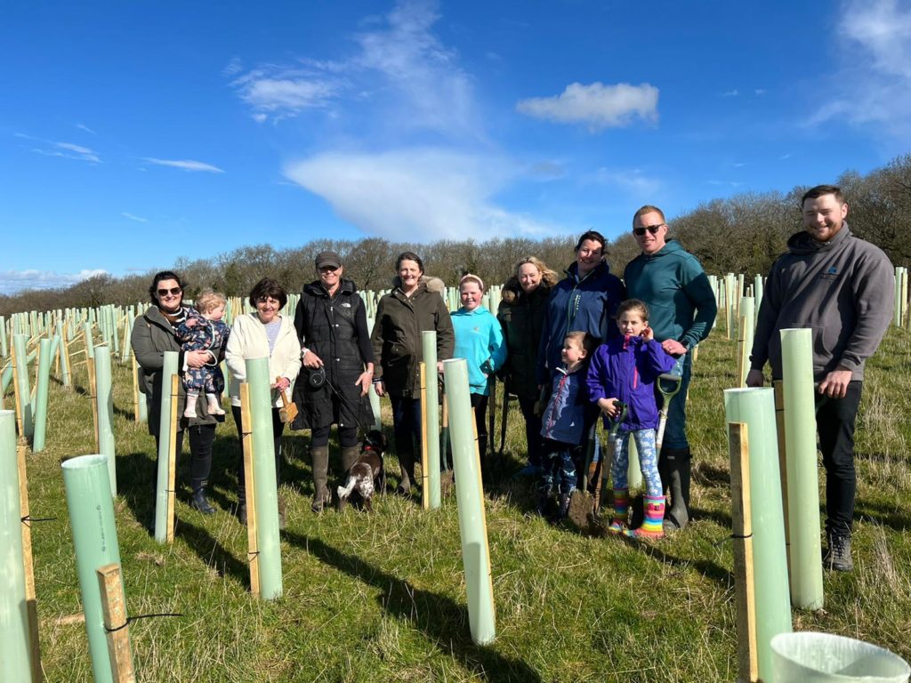 Planting over 650 Trees - Bid & Tender Support